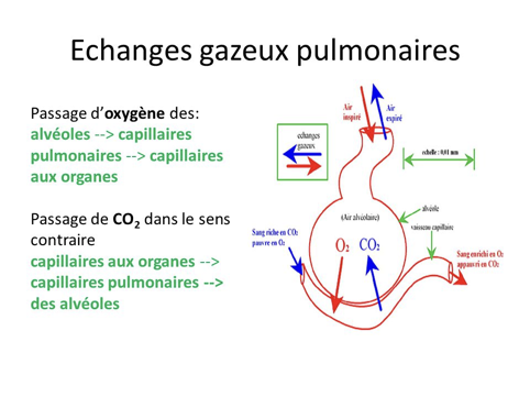 BIOLOGIE ET MICROBIOLOGIE APPLIQUEES Mme Braquart Lydie