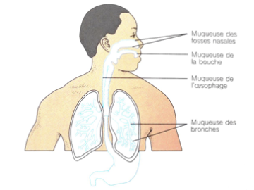 BIOLOGIE ET MICROBIOLOGIE APPLIQUEES Mme Braquart Lydie