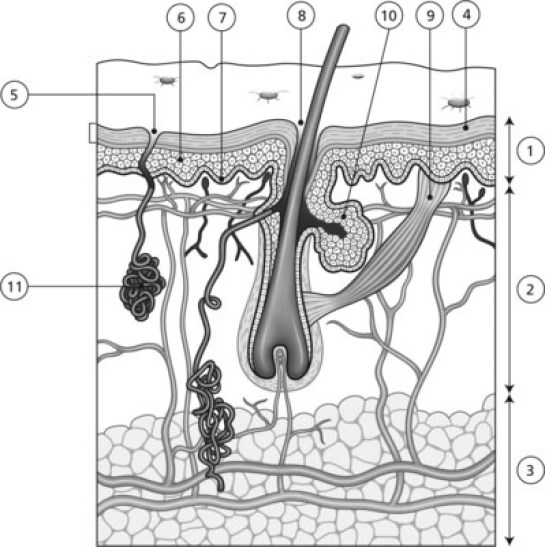 BIOLOGIE ET MICROBIOLOGIE APPLIQUEES Mme Braquart Lydie